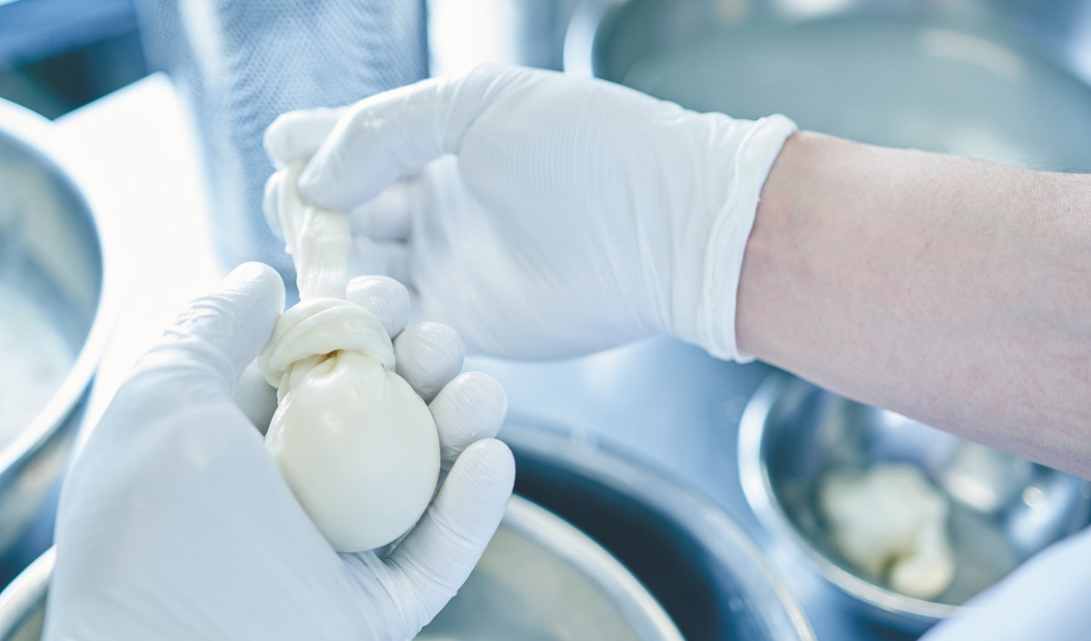 ブランド | FRESH CHEESE STUDIO（フレッシュチーズスタジオ）